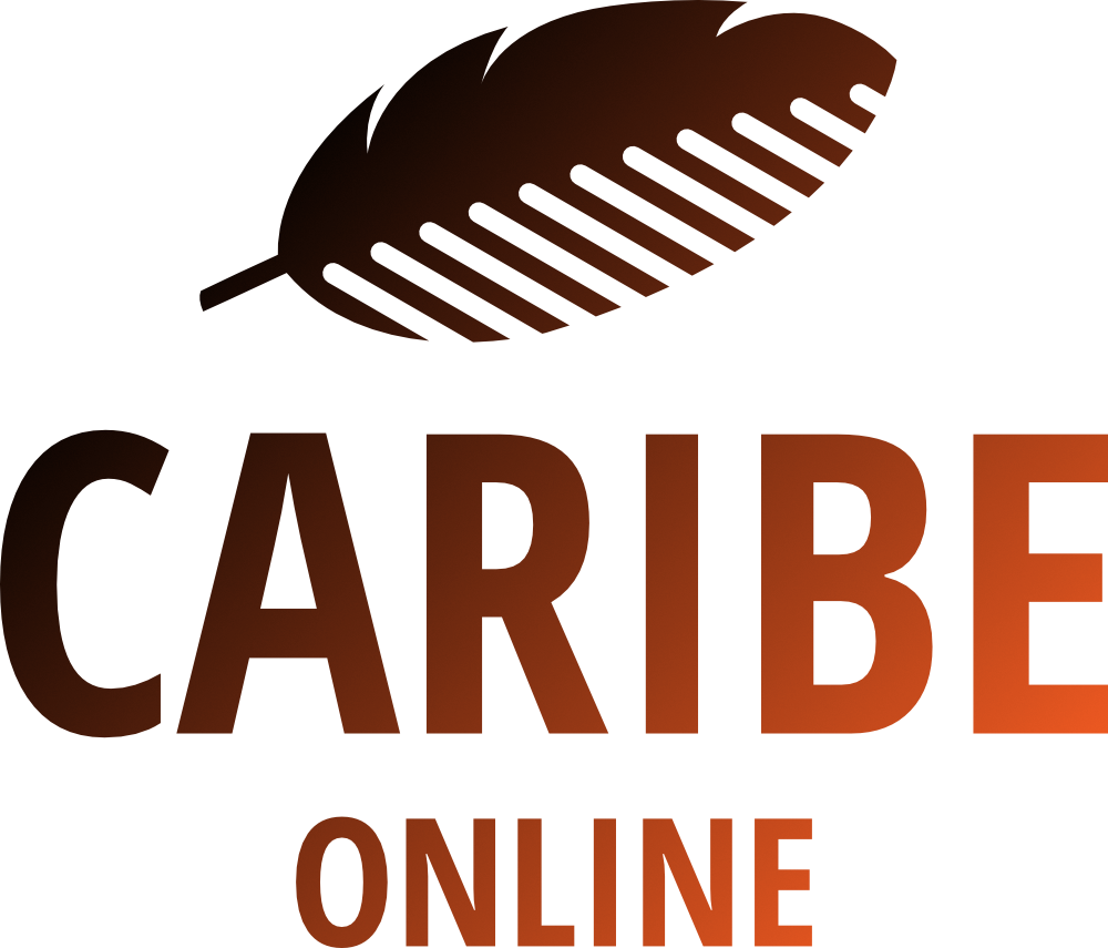 Web Agency Venezia - Web Agency Mestre - Caribe Web Marketing
